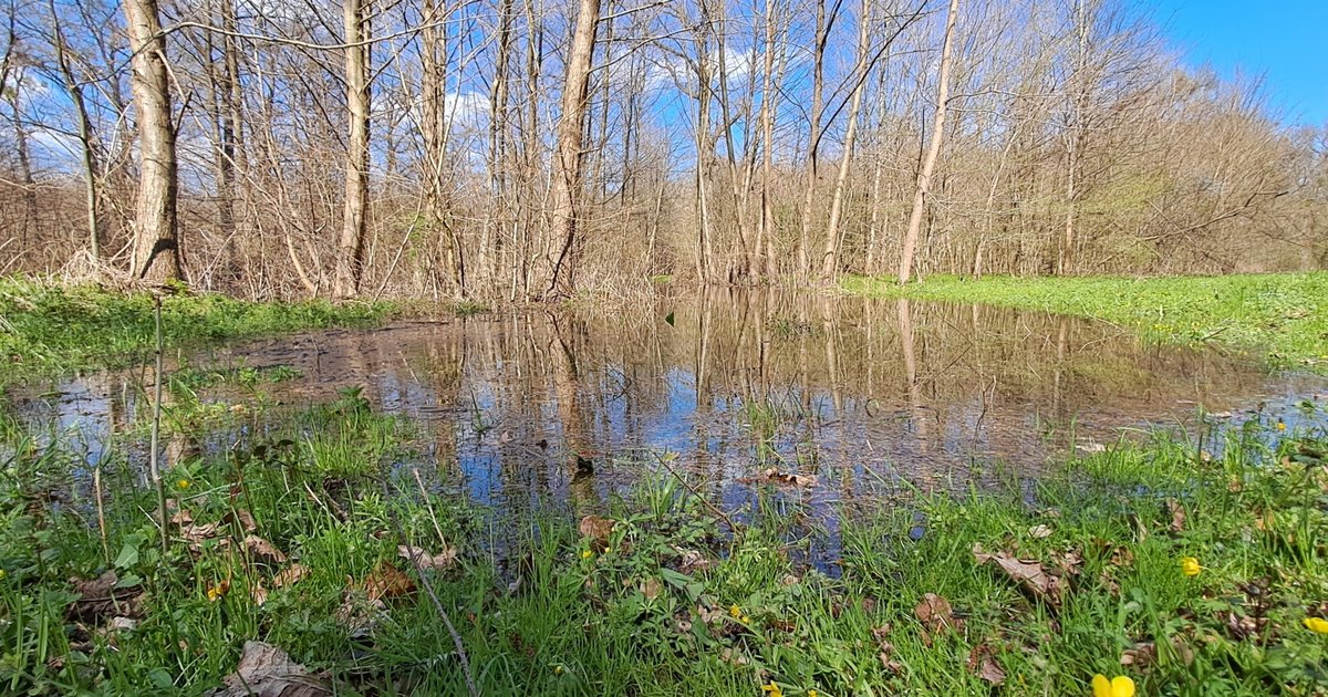 Lesníci chystají záplavy. Musí to stihnout dřív, než se vyrojí komáři ...