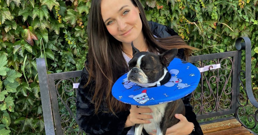 Mazlíčkům pomáhá vynález z Plzně, může za něj nešťastný pes - Minutové ...