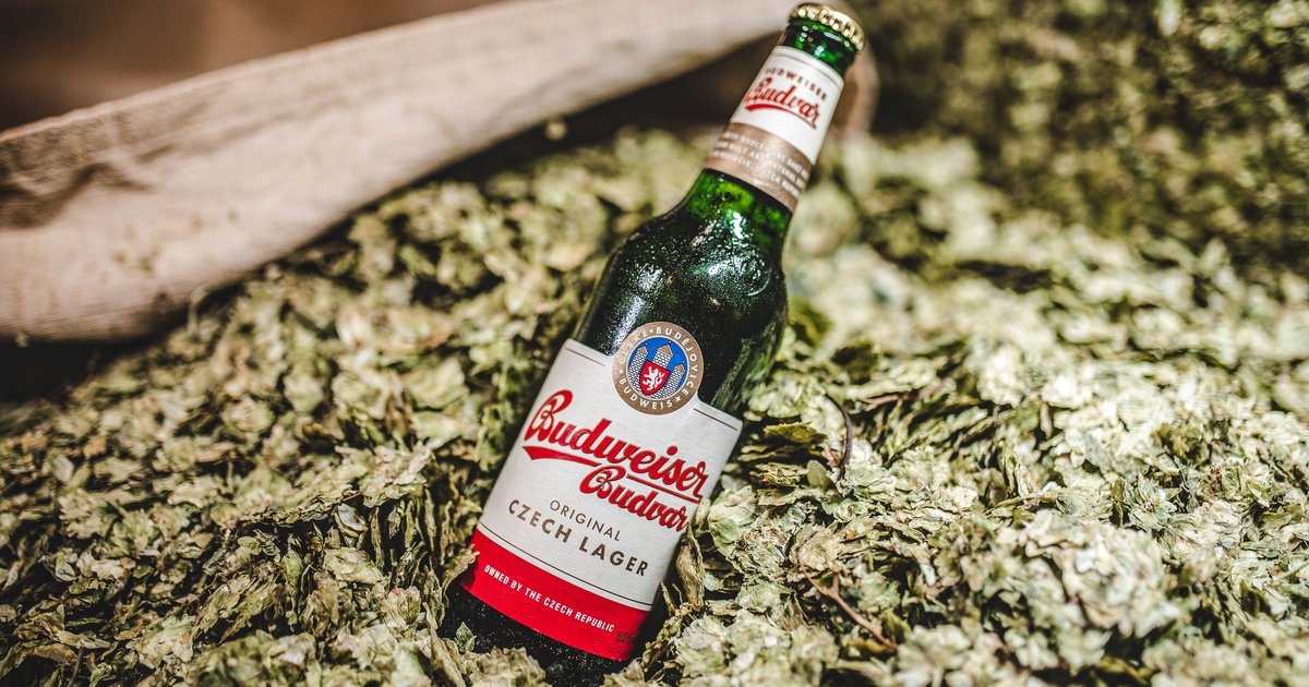Budvar uvařil nejvíce piva v historii. Tržby rostou - Minutové zprávy